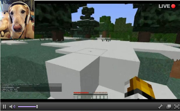 Twitch l'ogre du streaming - Twitch - News - Factornews
