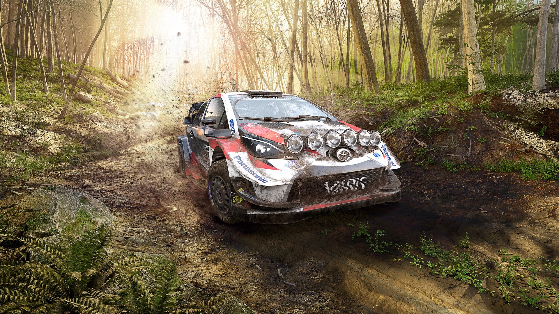 d-couverte-vid-o-wrc-9-fia-world-rally-championship-ps5-pc-nacon