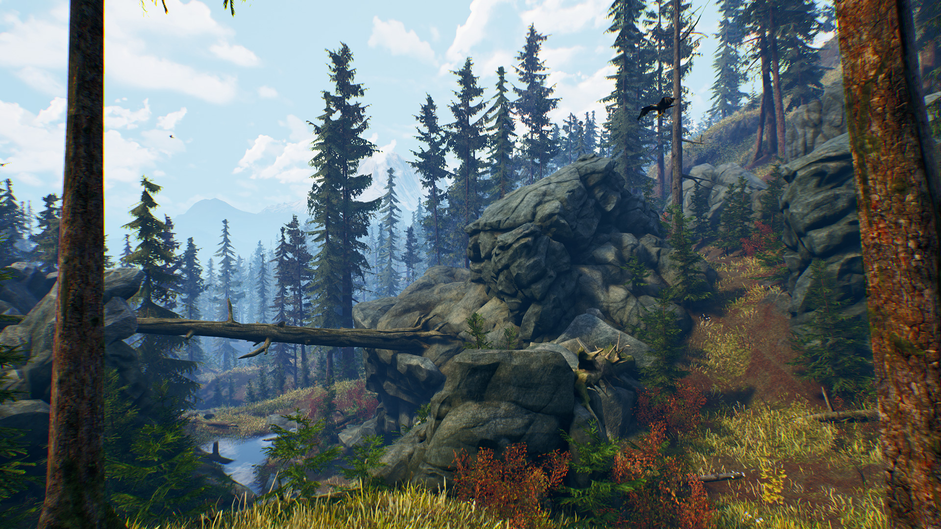 Nouveau jeu : Open Country - PC, Xbox One, 505 Games, PS4, FUN Labs ...