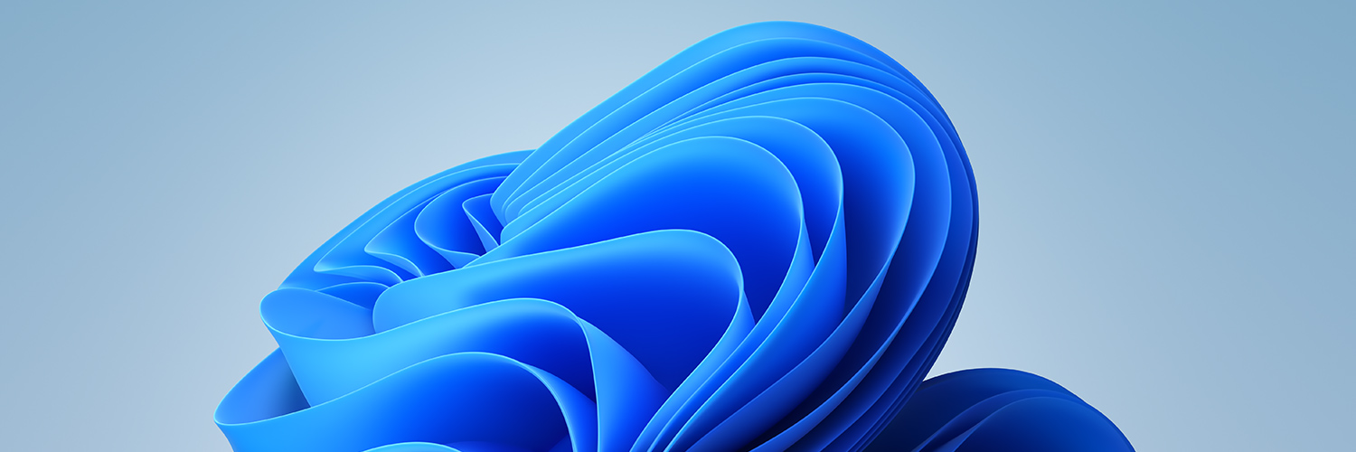 [MAJ] Windonze officiellement annoncé - Microsoft, Windows, Windows 11 ...