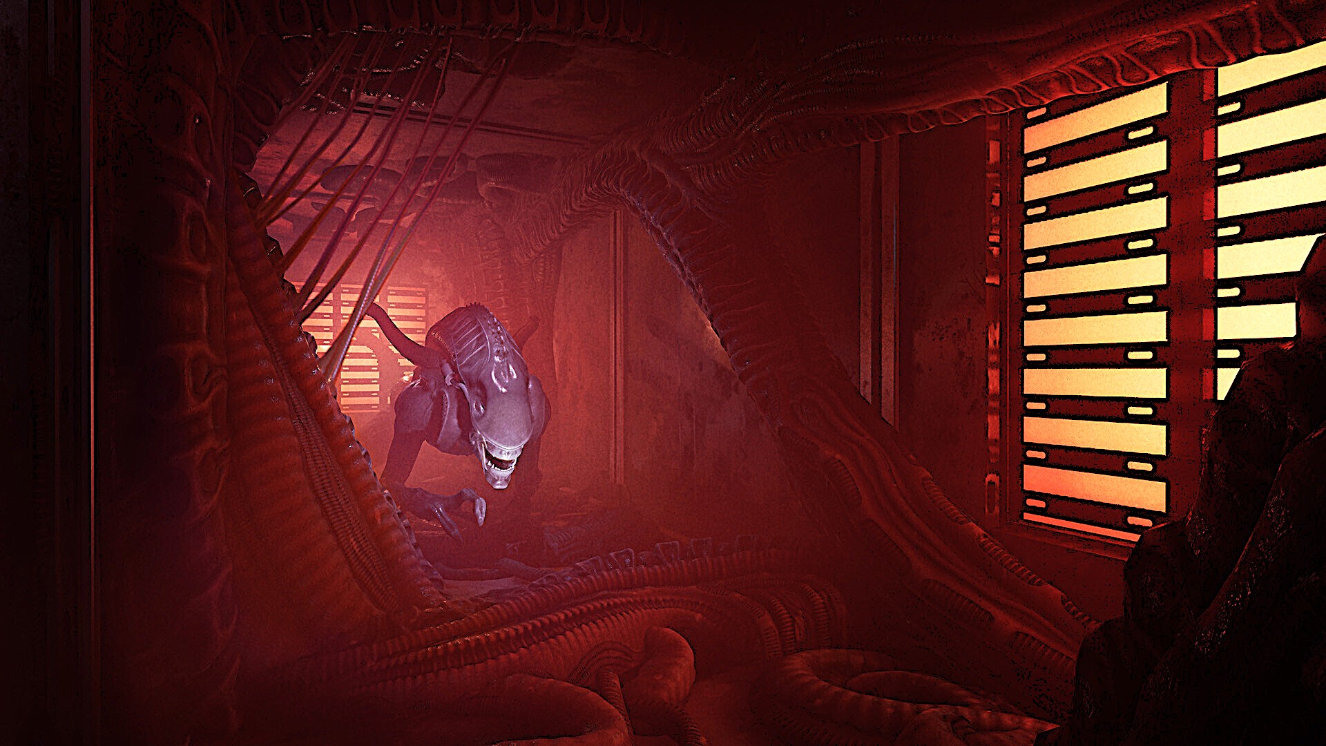 Alien: Rogue Incursion Evolved Edition Xbox - PC, Steam, PS5, Epic ...